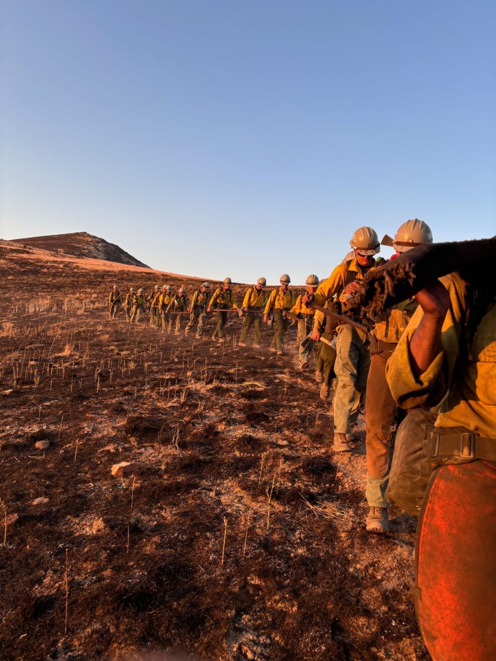 Wildfire & Fuels - Tahoe Douglas Protection District